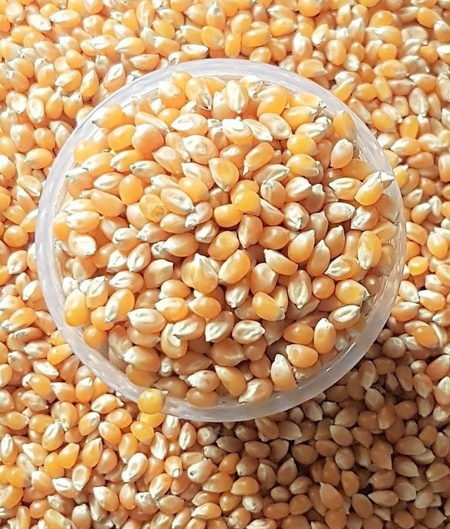 Американский попкорн дони сотилади 95 фоиз очилади 100 фоиз гарантия.
