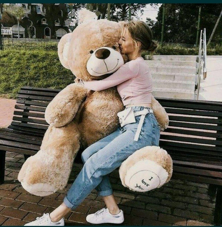 Teddy va boshqa yumshoq oʻyinchoqlar
