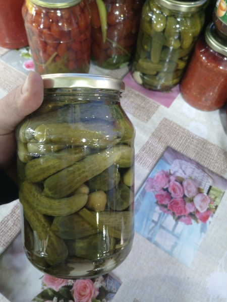 Компот икра оптом и паштучна
