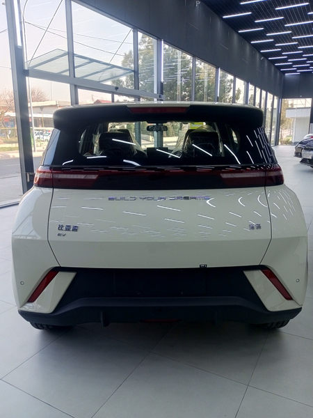 Byd seagull 2024