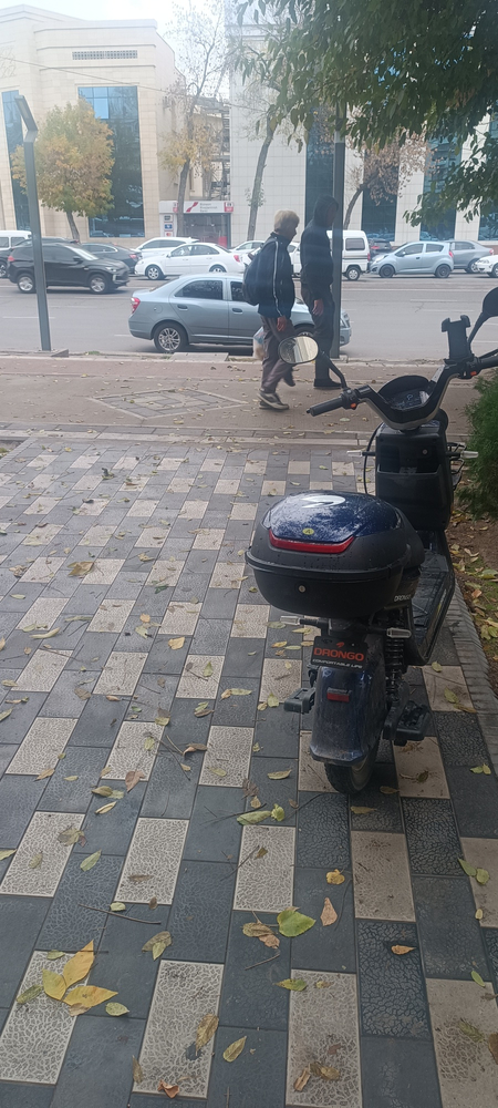 Drongo elektr skuter