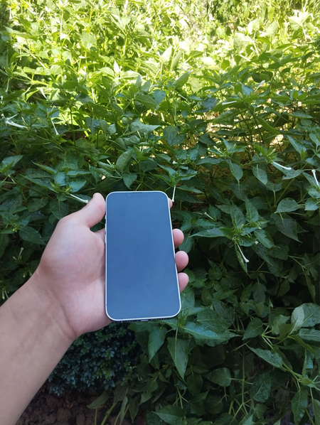 Iphone 13pro sotiladi