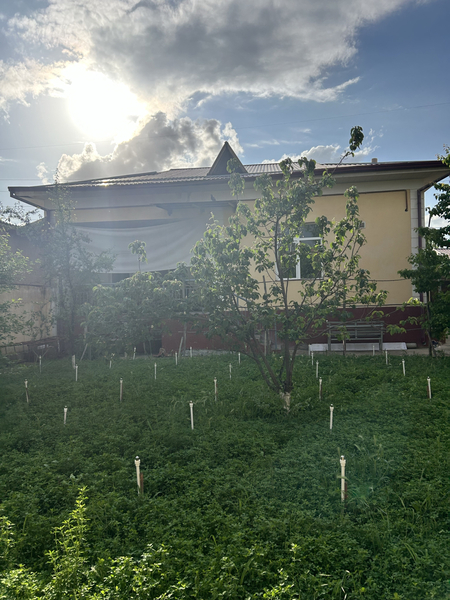 Продам дом,участок,коттедж