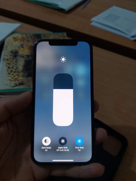 Iphone 12 pro ideal