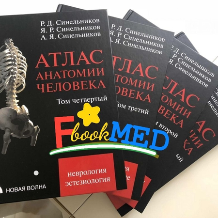 Атлас анатомии человека #неттер #анатомия