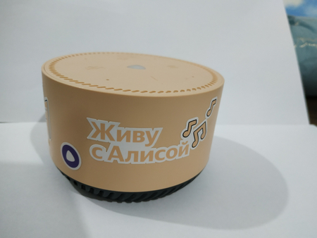 Алиса помогает с любой задачей