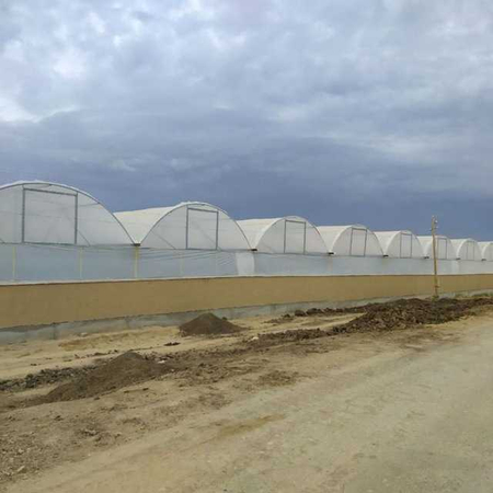 Issiqxona quramiz keriditgaham