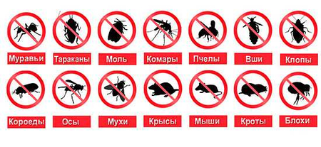 Дезинфекция любой сложности