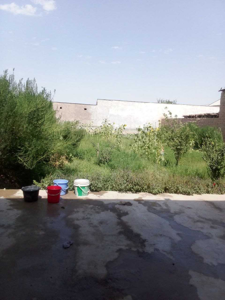 Hovli sotiladi 10 sutx