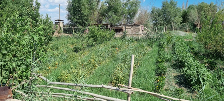 Xojelidе uy satiladi
