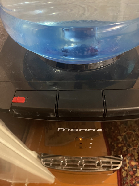 Куллер для воды moonx