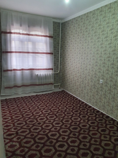 Arenda Qora qamish 2/4
