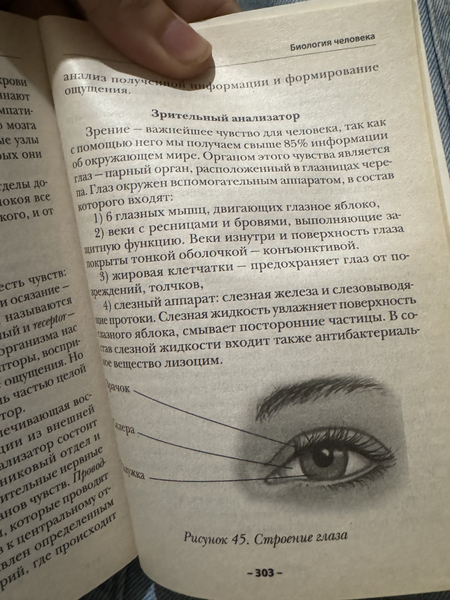 Энциклопедия чудеса света