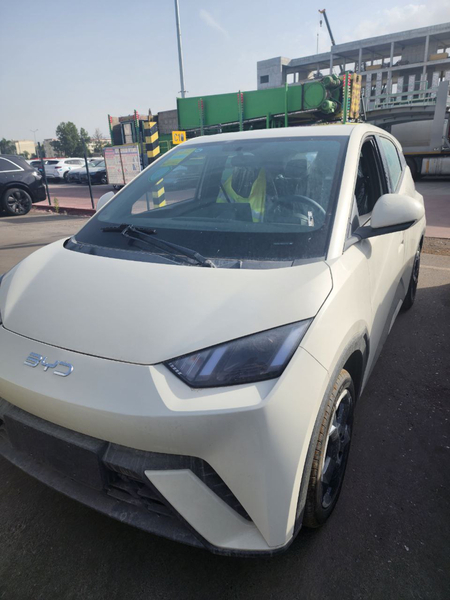 BYD SEAGULL EV 2024 full kompletatsiya