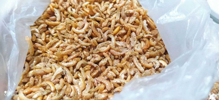 Корм для рыб
Baliqlar ozuqasi Sotiladi