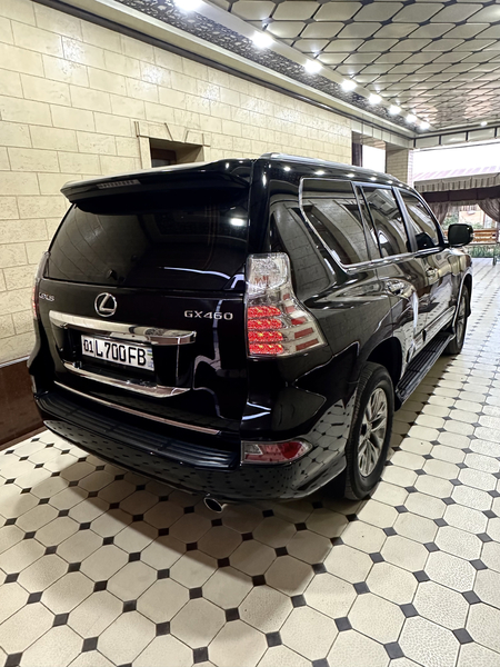 Lexsus GX460 qora tozza