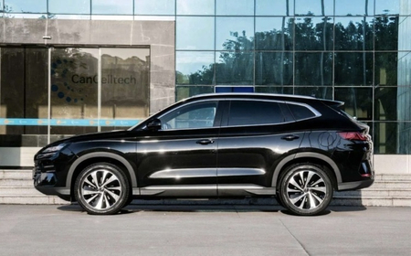 BYD song chimpion