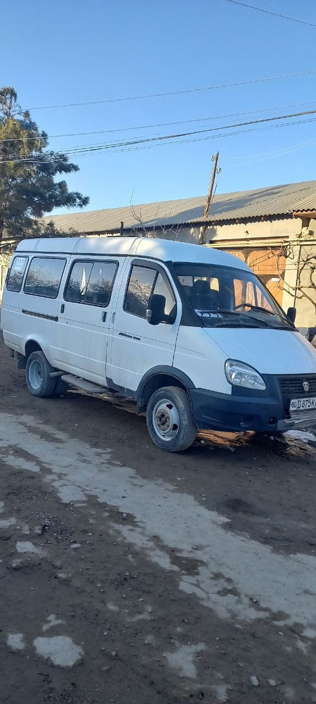 Gazel linyasi bilan 222