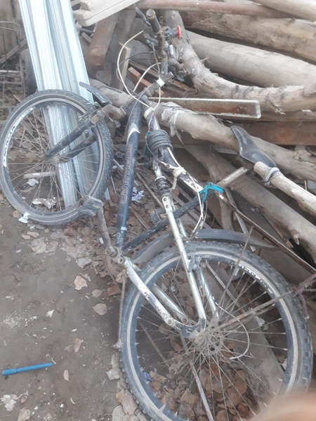 Vilosiped sportivni