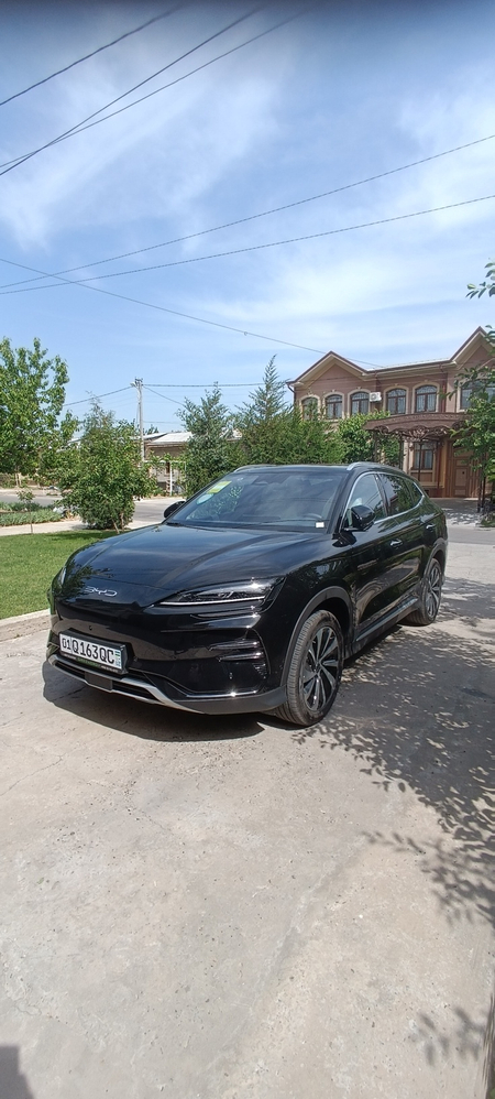 Byd Chepion 605 km без пробег