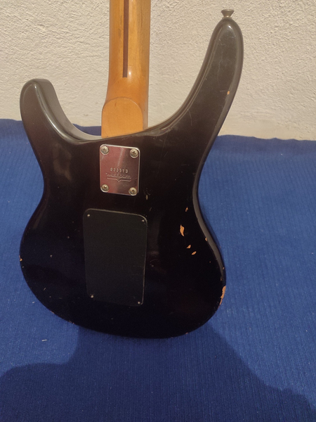 Akustik Gitara elektronik Washburn Guitars AQShga tegishli brend  F/B