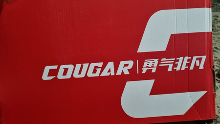 Ролики COUGAR для девочки 30-33