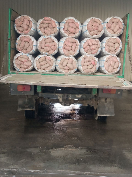 Uaz yul tanlamas mexanika soz xolatda ishlab yuripti