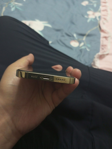 Iphone 13 pro sotladi
