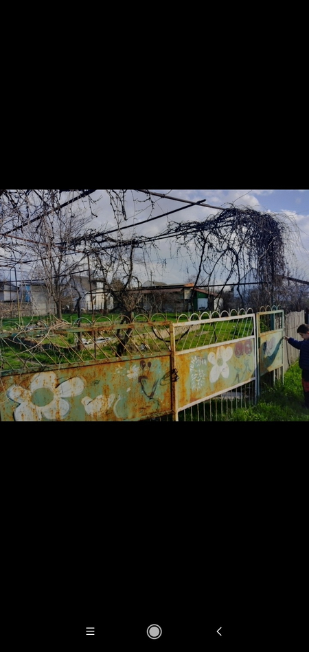 Дача узимнике сотилади.6,20 соток.