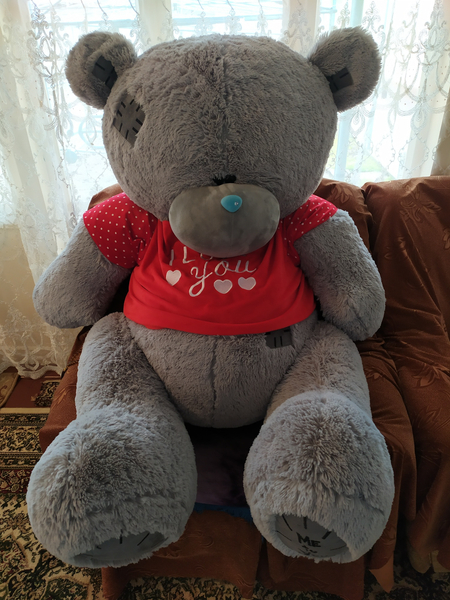 Teddy ayiq 160 sm ligi