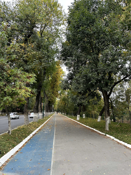 2х комнатная квартира в отличной локации в центре