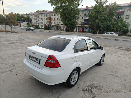 Нексия 3 -4я позиция ELGANT PLUS