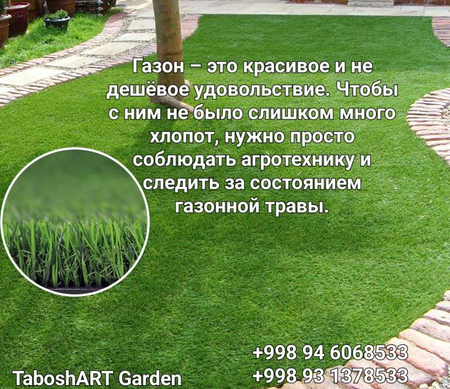 Газон. Комплексный уход. Устройство газона.