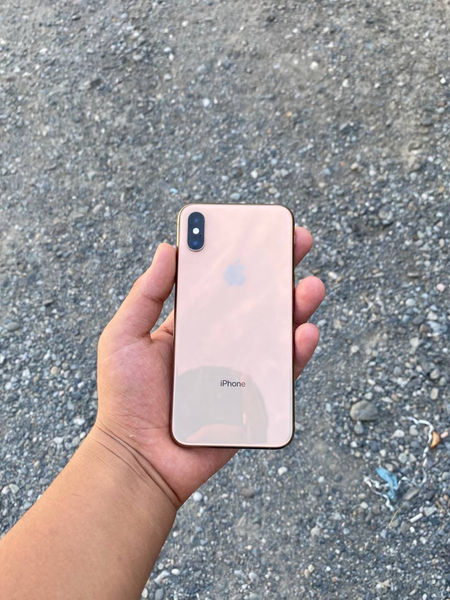 Iphone Xs 64GB 79%