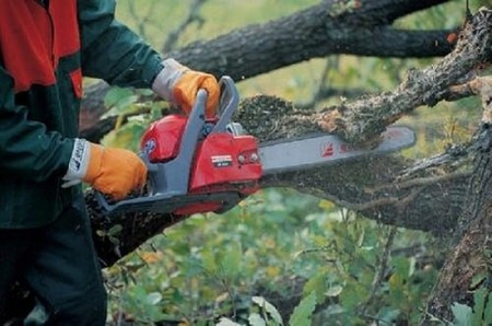 Дарахт кесиш хизмати обрезка деревя спил деревя бензопила услуг darax
