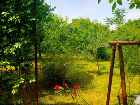 Dacha arendaga beriladi