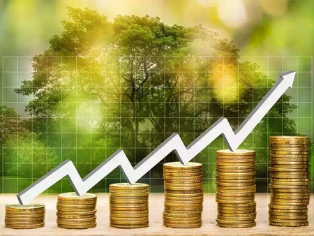 Zudlik bilan investor kere! Foyda 50/50