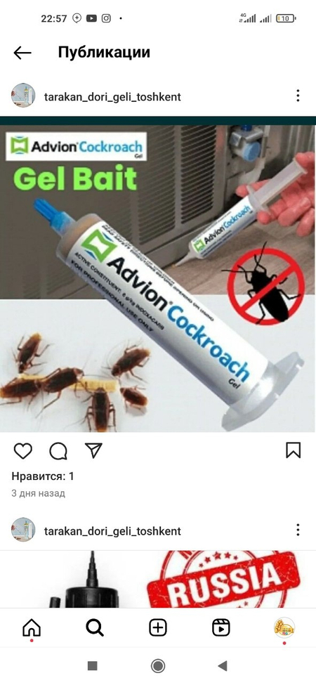 Tarakan dori (konsultatsiya garantiya Dezinfektr)Toyir)