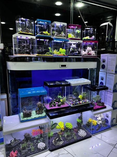 Xitoy Akvariumlar 10 litrdan 140 litrgacha