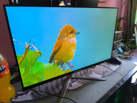 Монитор VIEWG 75 Hh