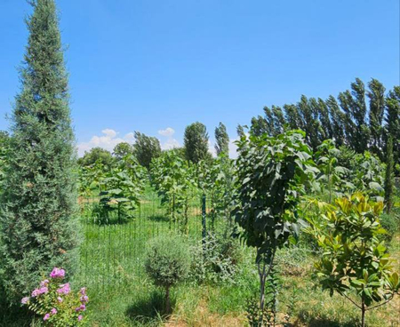 Agrolife Dam olish maskani