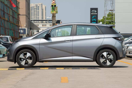BYD Dolphins 3 xil bor 1ta passport evaziga beriladi
