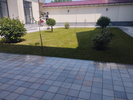 Gazon ekamiz kvadiraditi 20 ming