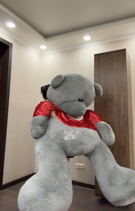Teddy sotiladi 1