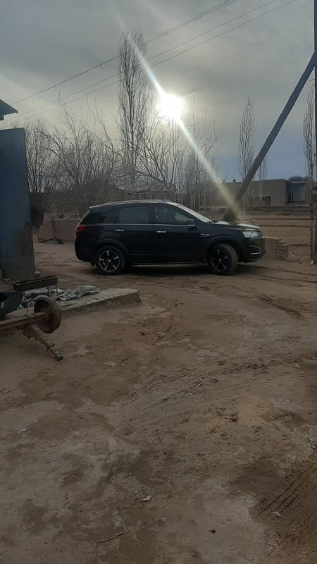 Продаётся каптива