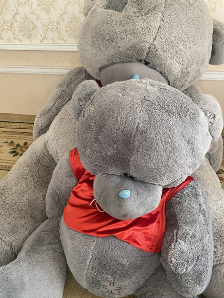 Teddylar sotiladi aka uka