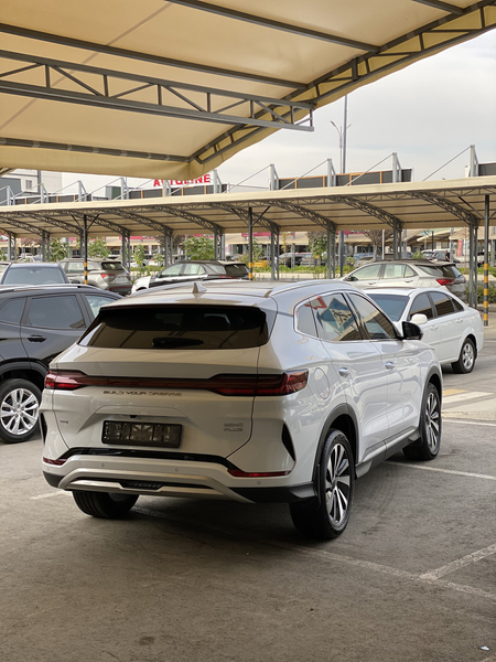 Byd champion hybrid 2024