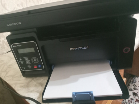 Pamtum plintr sotiladi