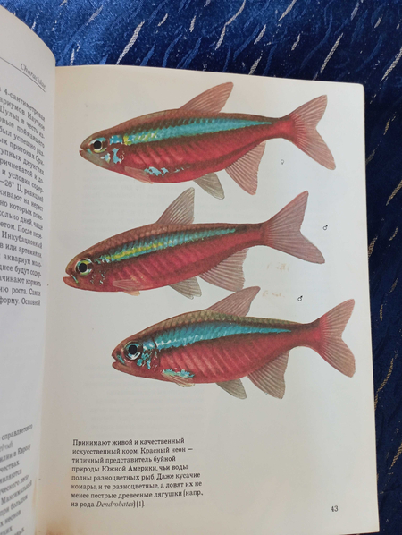 Книга аквариумные и тропические рыбы 20.000