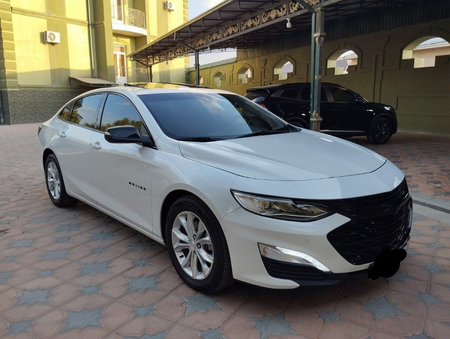 Malibu 2 Preimer 2019!. Holati ideal
